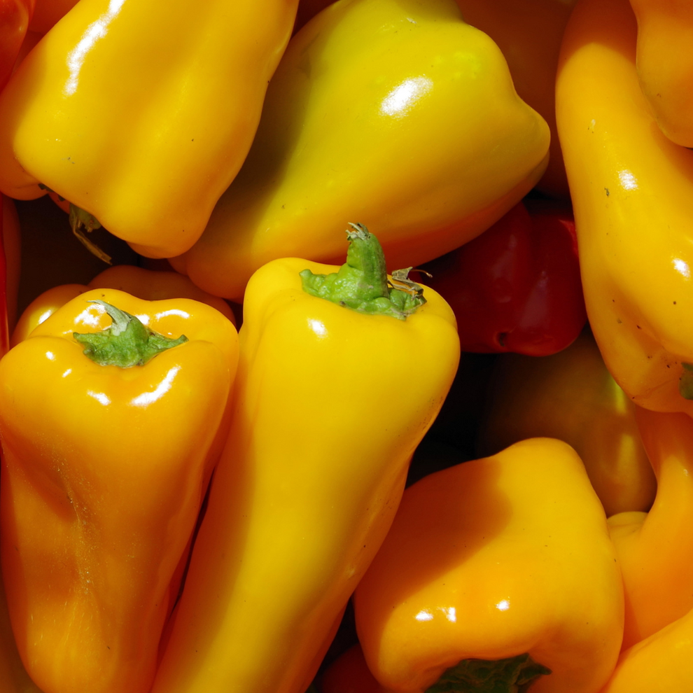 Pre-Order | Fresh Hatch Yellow Hot Peppers | Farm-Grown in Hatch, New