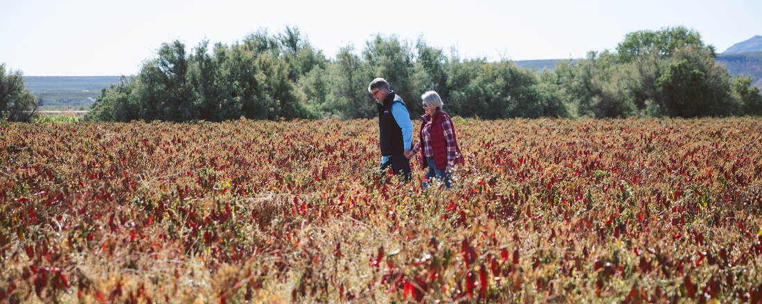 The Fresh Chile Co: Award-Winning Hatch Chile